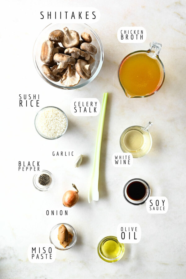 Japanese Style Risotto with Seared Salmon - Serving Dumplings