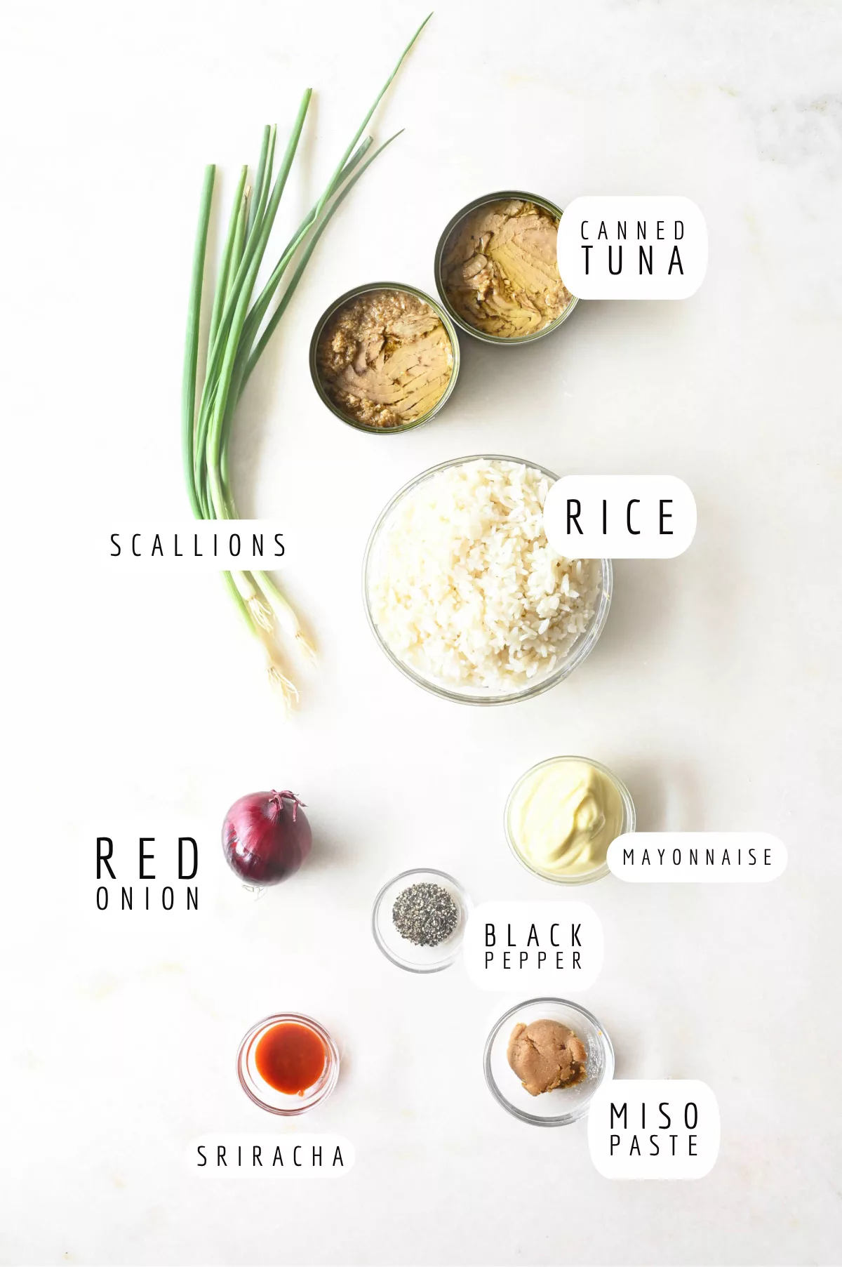 Miso Tuna Rice Bowls - Serving Dumplings